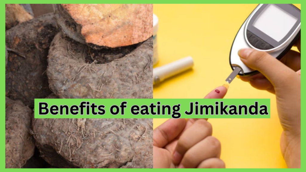 Health Tips: Jimikand will find and cure diabetes, it is a panacea for ...
